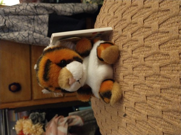 Palm Pals - INDY TIGER - Party Alumni