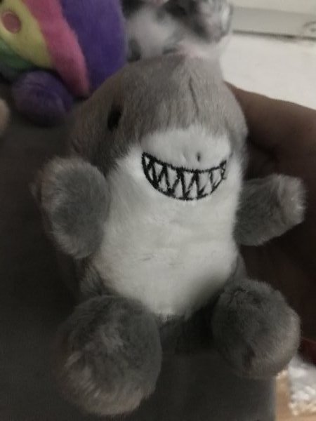 Palm Pals - Chomps Shark - Aquatic Collection