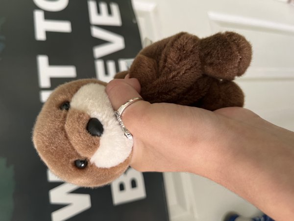 Palm Pals - Selena Sea Otter - Aquatic Collection