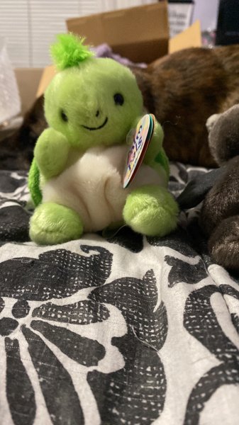 Palm Pals - Tiny Turtle - Pets Collection