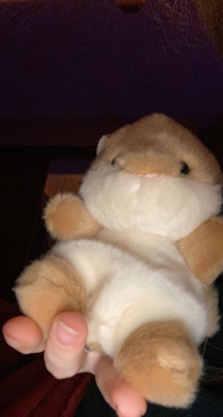 Palm Pals - HAPPY HAMSTER - Pet Collection