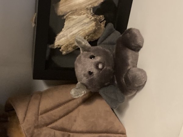 Palm Pals - LUNA BAT - Seasonal Collection