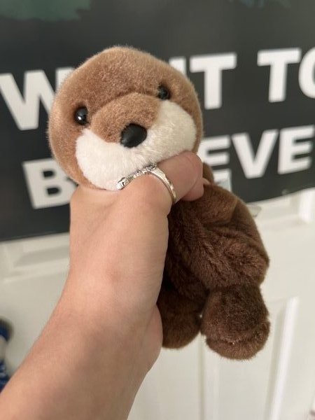 Palm Pals - Selena Sea Otter - Aquatic Collection