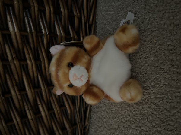 Palm Pals - MEOW KITTY - Pet Collection